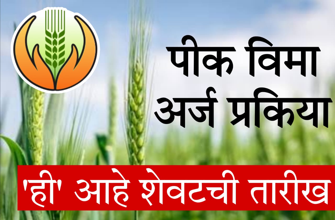 pik vima online 2025 पीक विमा अर्ज प्रक्रियेला मुदतवाढ; वाचा सविस्तर ...